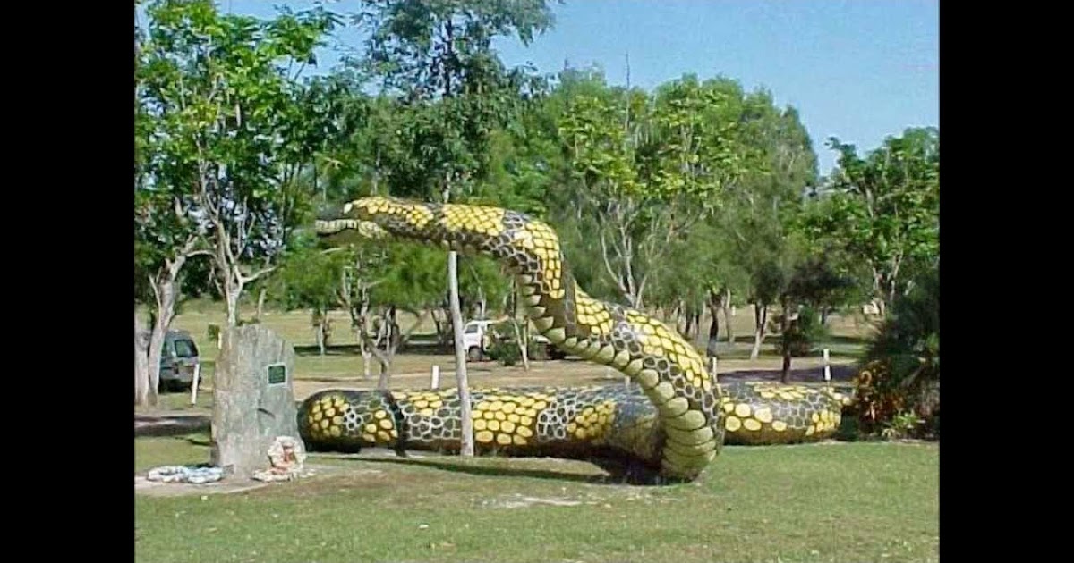 Talk to Kemi (TtK) : Medusa The World’s Largest Snake