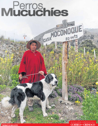 Entre Todos Progresamos: LA HISTORIA DETRÁS DE LOS PERROS MUCUCHÍES