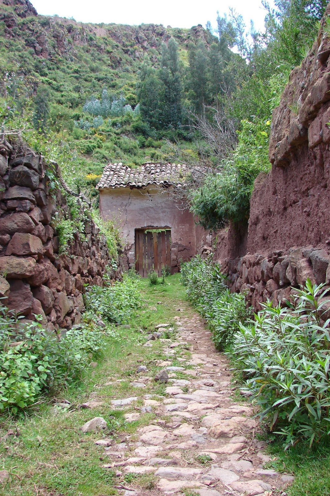 EL APU PACHATUSAN, TIPON Y PACHATUSANTREK | Pachatusantrek