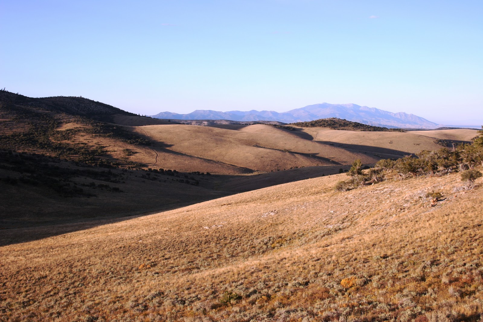Great Basin Ute: Mount Moriah, eastern Nevada