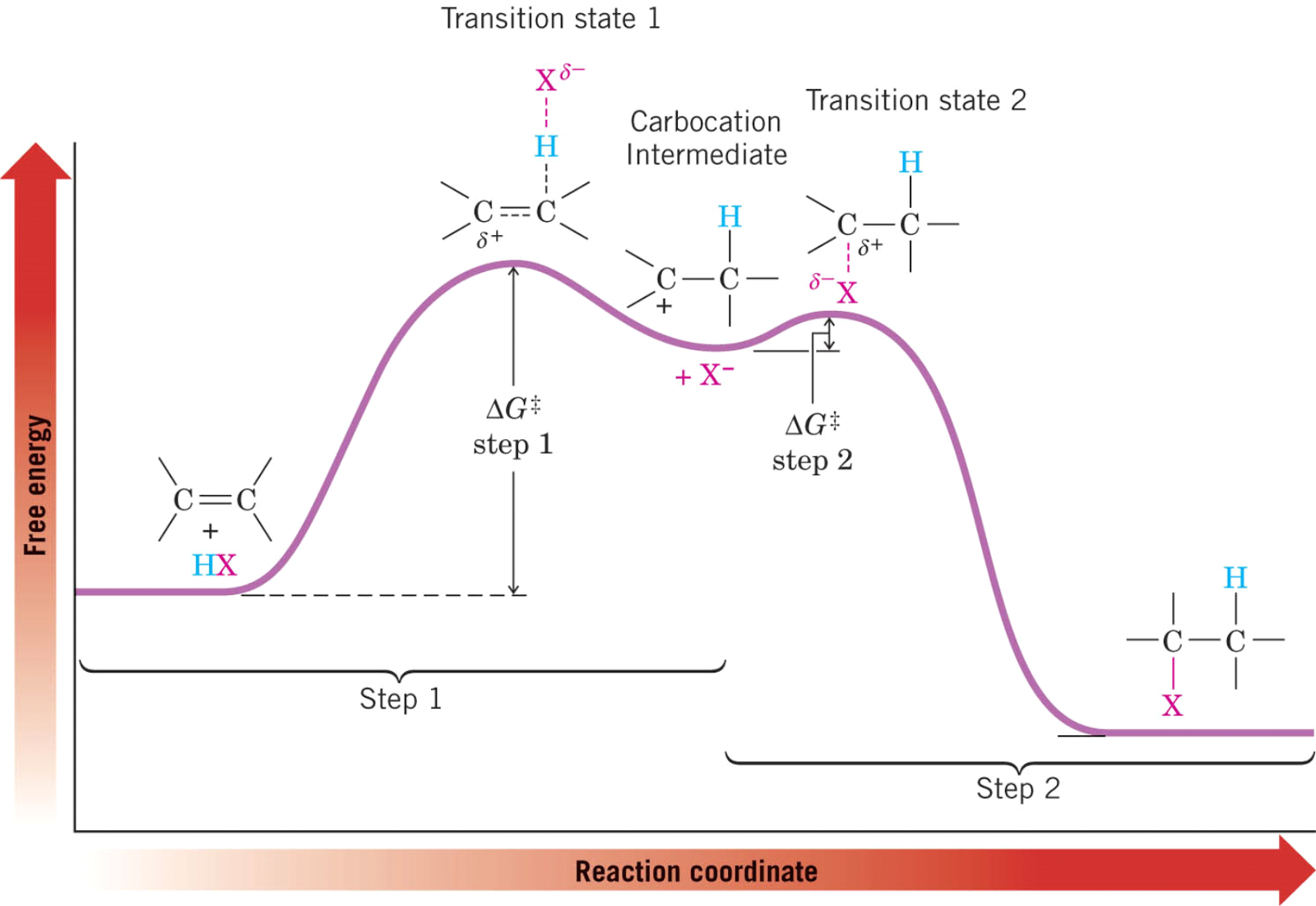 chemistry world: Electrophilic Addition to Alkenes Mechanism