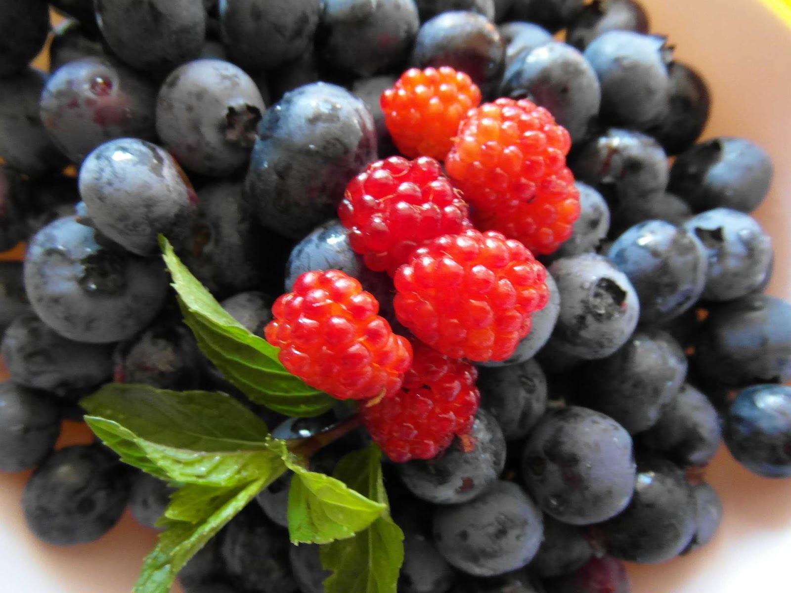 Garfields große Leidenschaft: Obstiges Frühstückchen