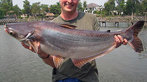 Wisey's Paypond Fishing Guide: List of Paypond Fish Species