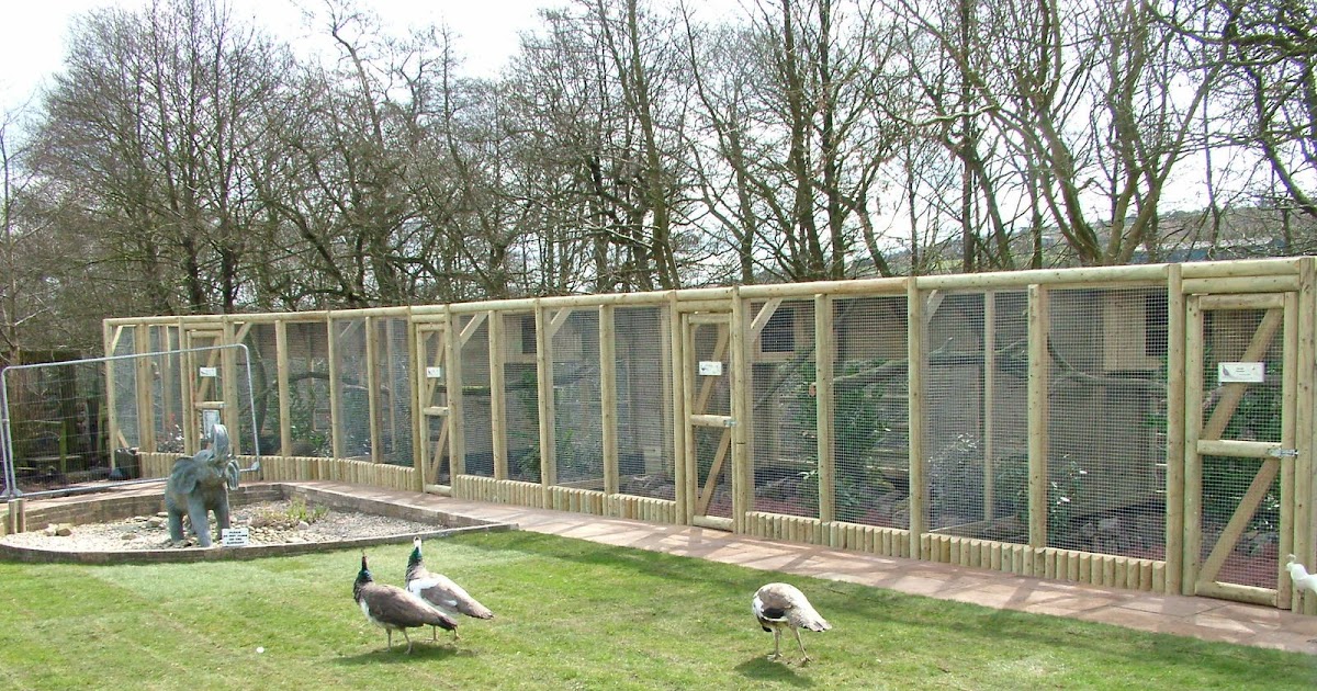 French Vocabulary Illustrated: volière