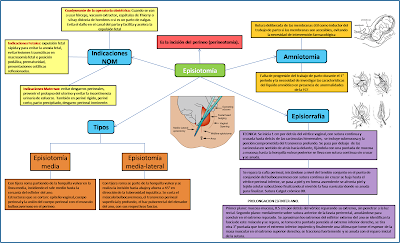 Blog de Ginecología.: Episiotomia.