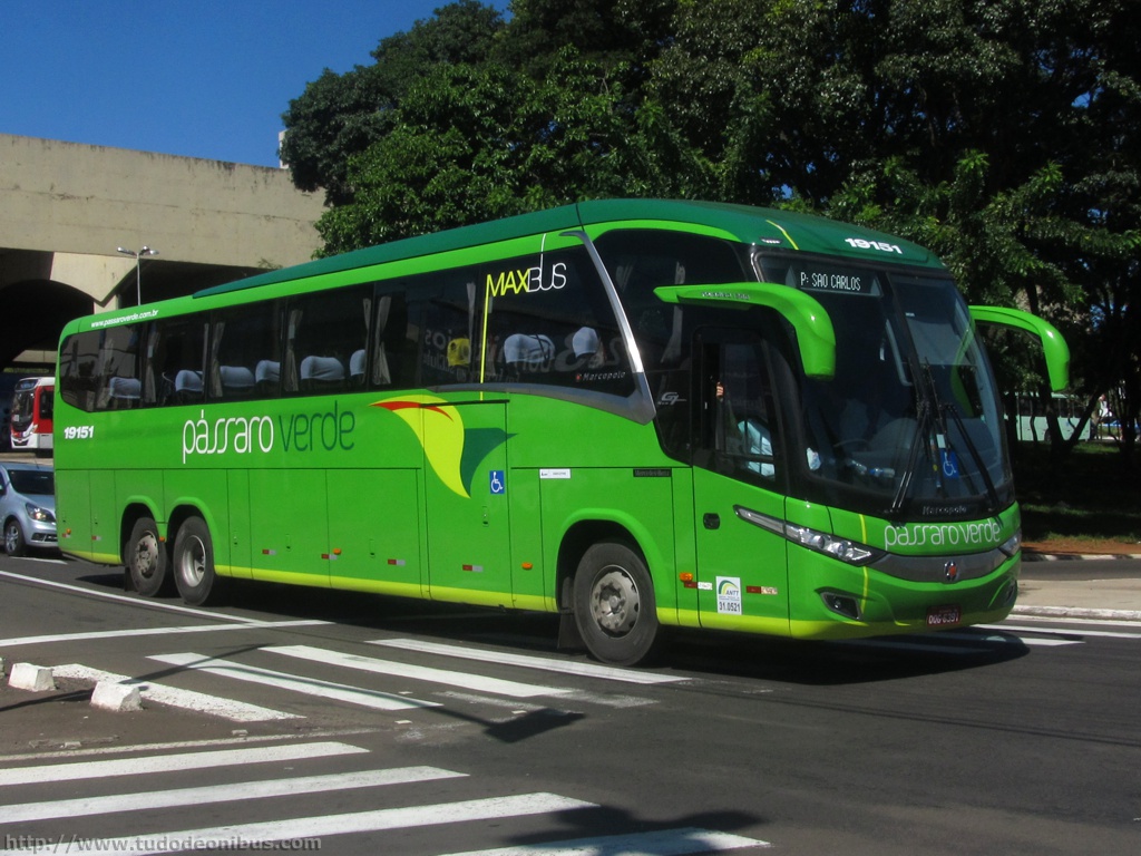 Tudo de Ônibus: Paradiso 1200 - Pássaro Verde