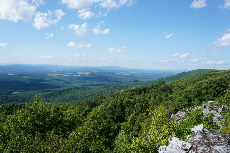 Tuscarora Trail from Dry Gap to US 50