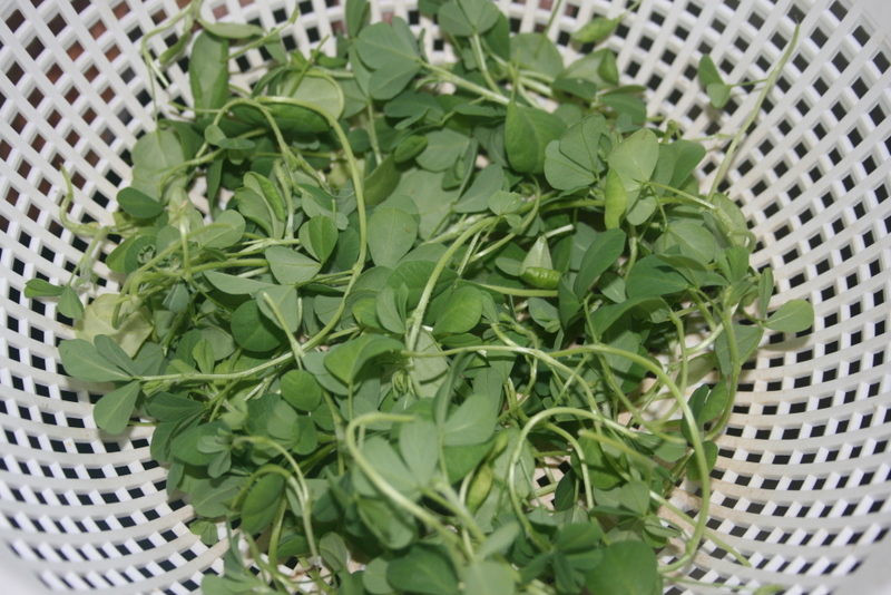 Wat's in my Wok: Methi Batata Bhaaji