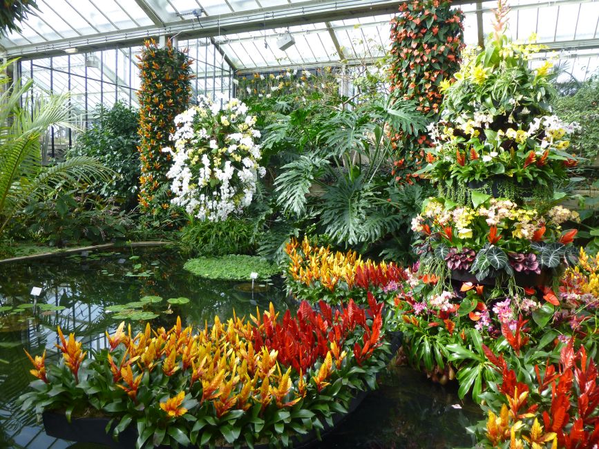 Bugs and Fishes by Lupin: Kew Gardens in March: the Orchids Festival ...