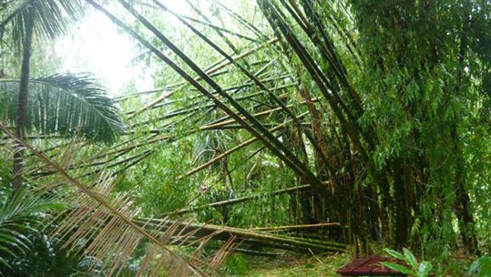 BunyipCo: February 2011