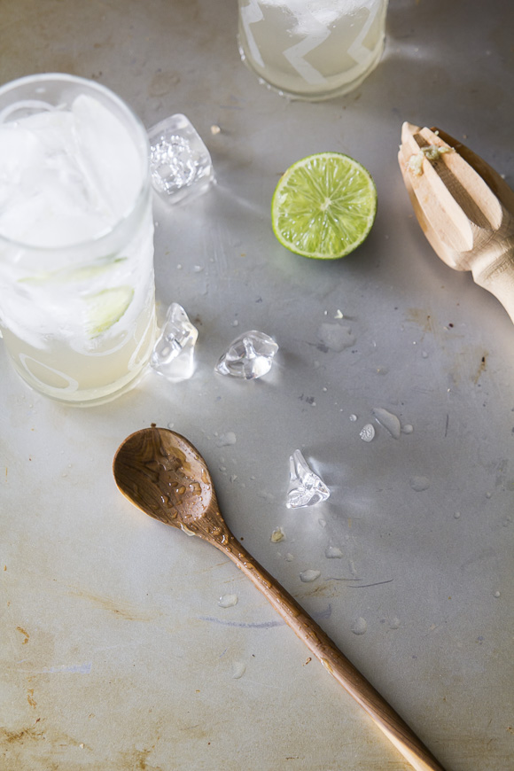 ¿Andas malhumorado? Prepara tu propio Ginger Ale - el gato goloso