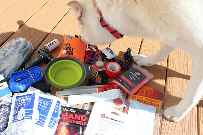 Pet Preparedness Essentials You Need to Be Ready Now | Sunny Day Family