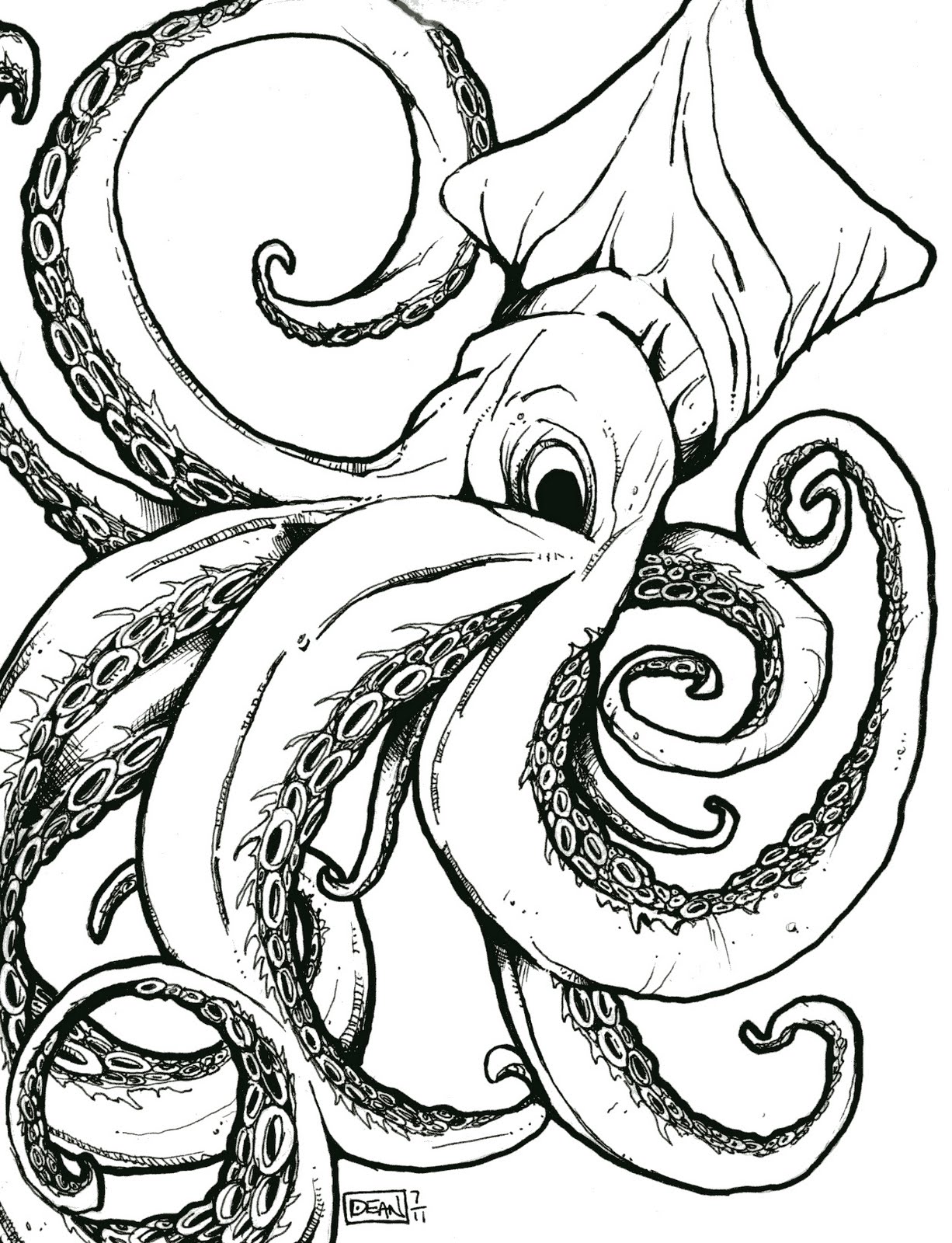 Squid Tentacles Sketch