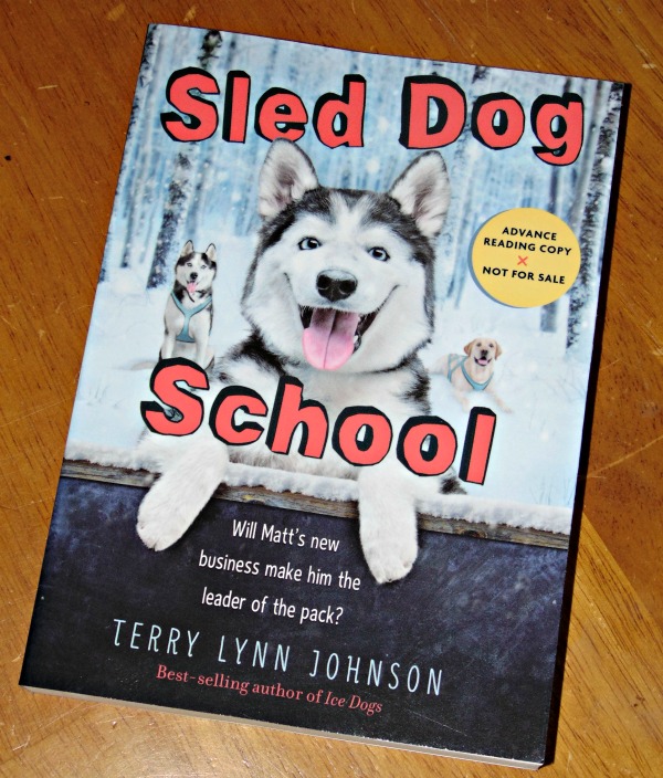 Review: Sled Dog School - A Net in Time