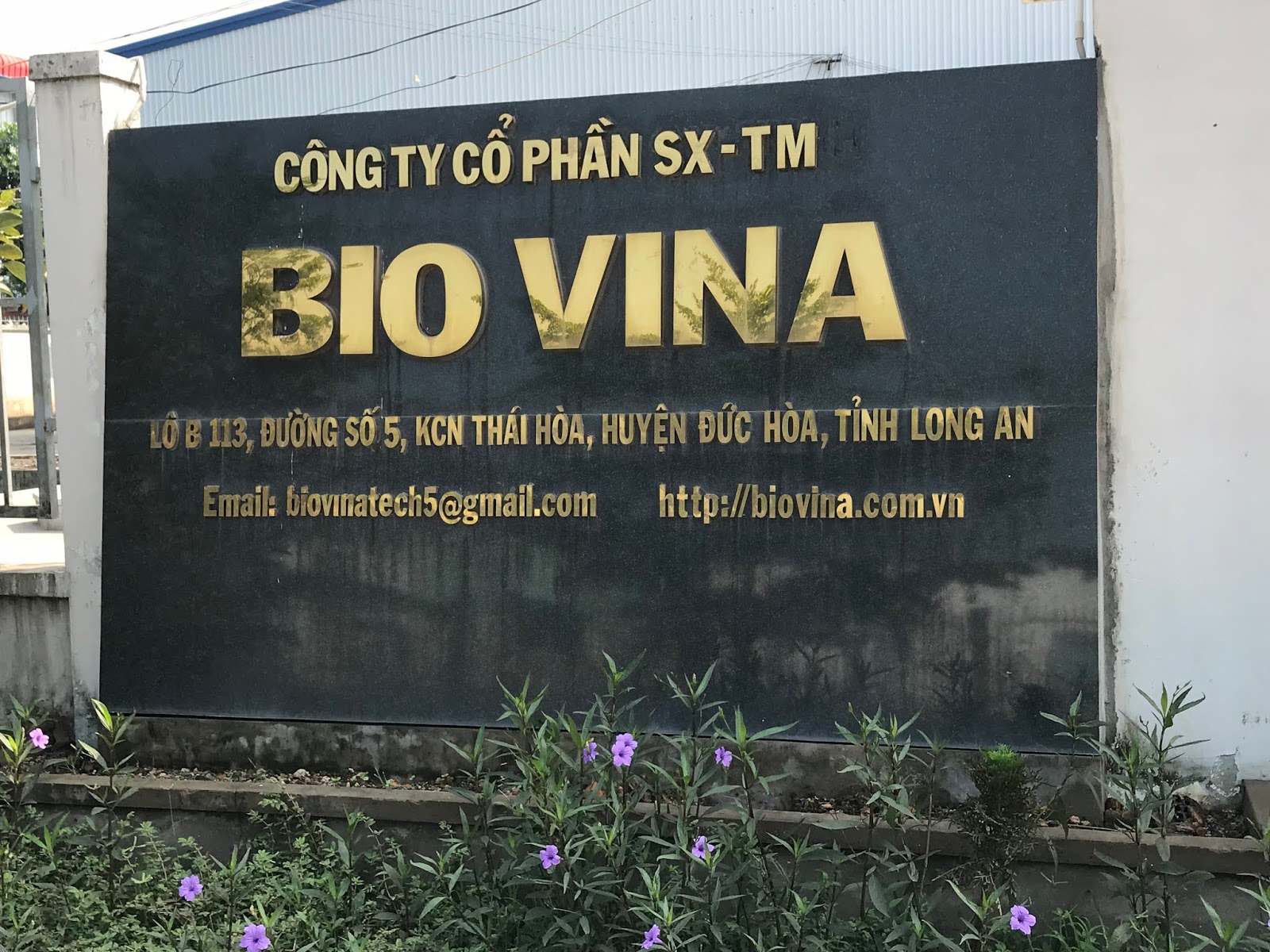 Chứng nhận hợp chuẩn: Đánh giá chứng nhận công ty Bio Vina