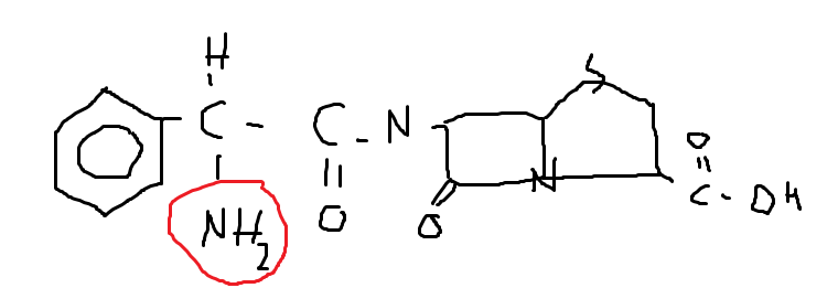 Catatan Kimia Medisinal #2 ~ NOBODY'S PERFECT