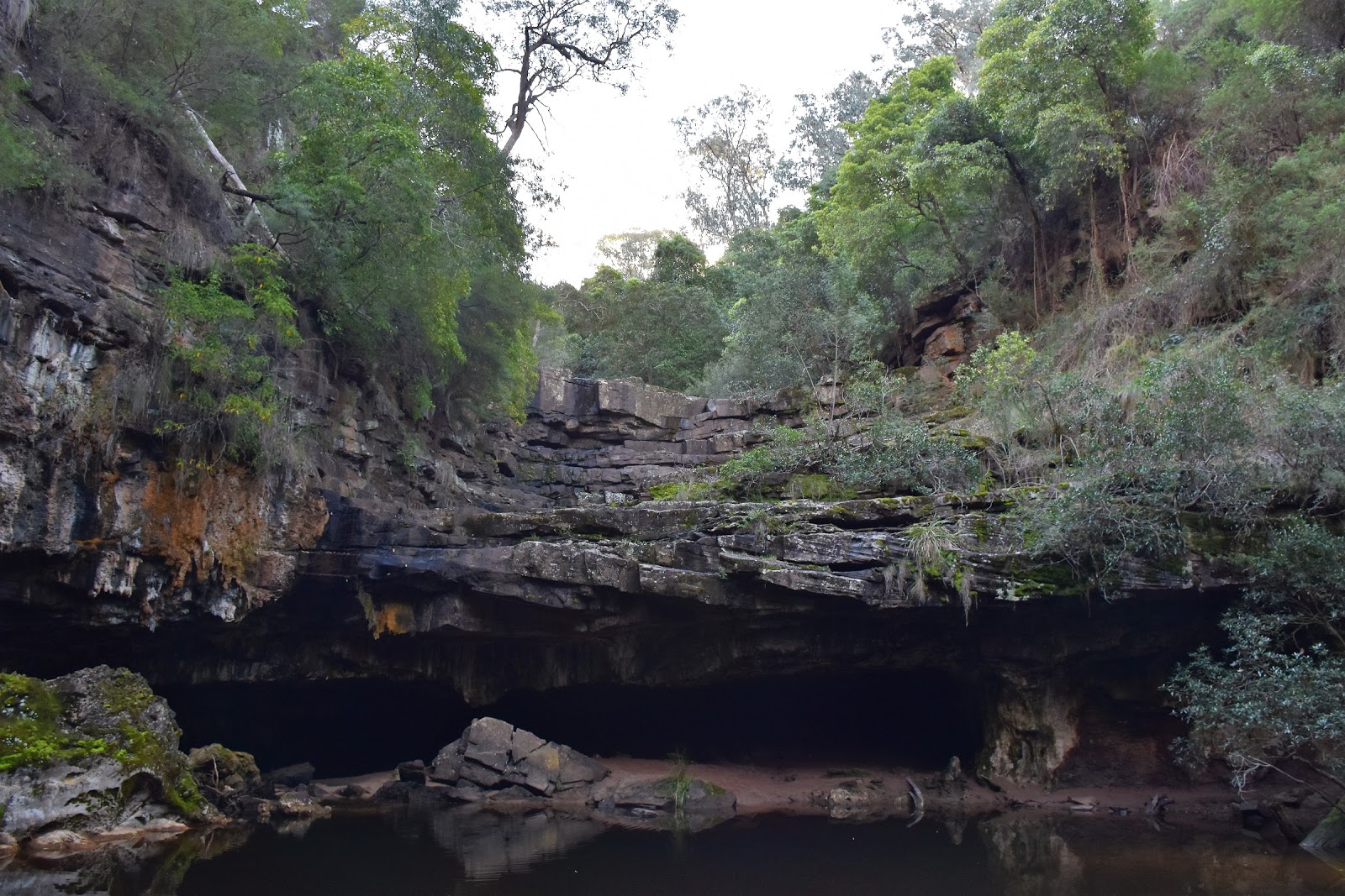 Goin' Feral One Day At A Time: Den of Nargun, Mitchell River National ...