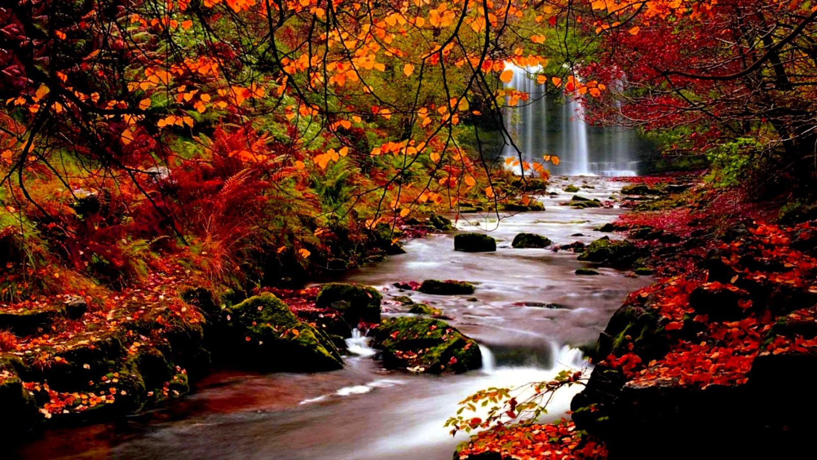 Hd Fall Wallpapers | Free Hd Wallpapers