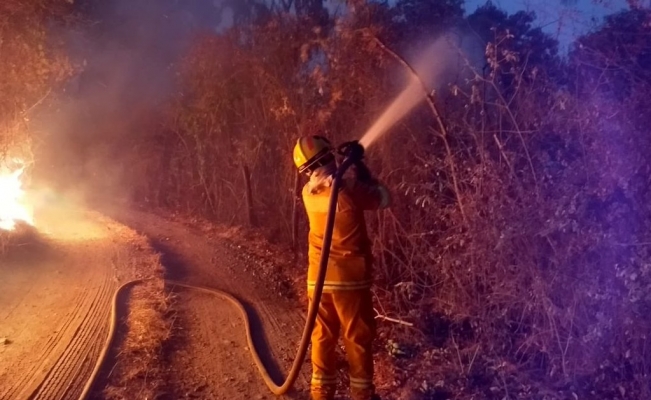¿Qué causa tantos incendios en México?