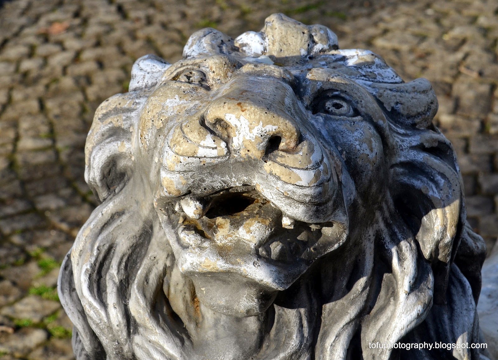 Tofu Photography: A lion statue in Gülhane Park, Istanbul, Turkey