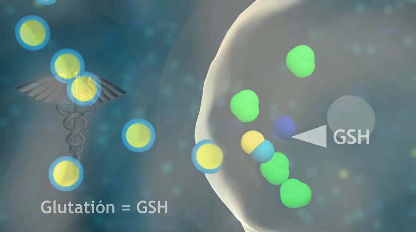 Immunotec: ¿QUE ES EL GLUTATIÓN?