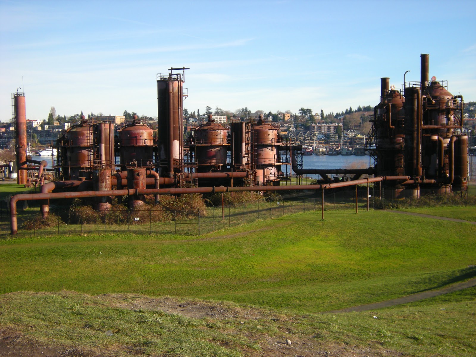 Radiance and Shadow: Gasworks Park, New Year's Day 2011