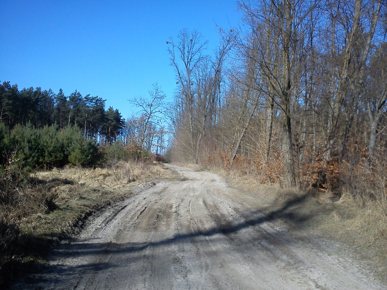 szczecinianka: Lapidarium Radziszewo, Ruiny Tartaku i Młyna nad Omulną ...