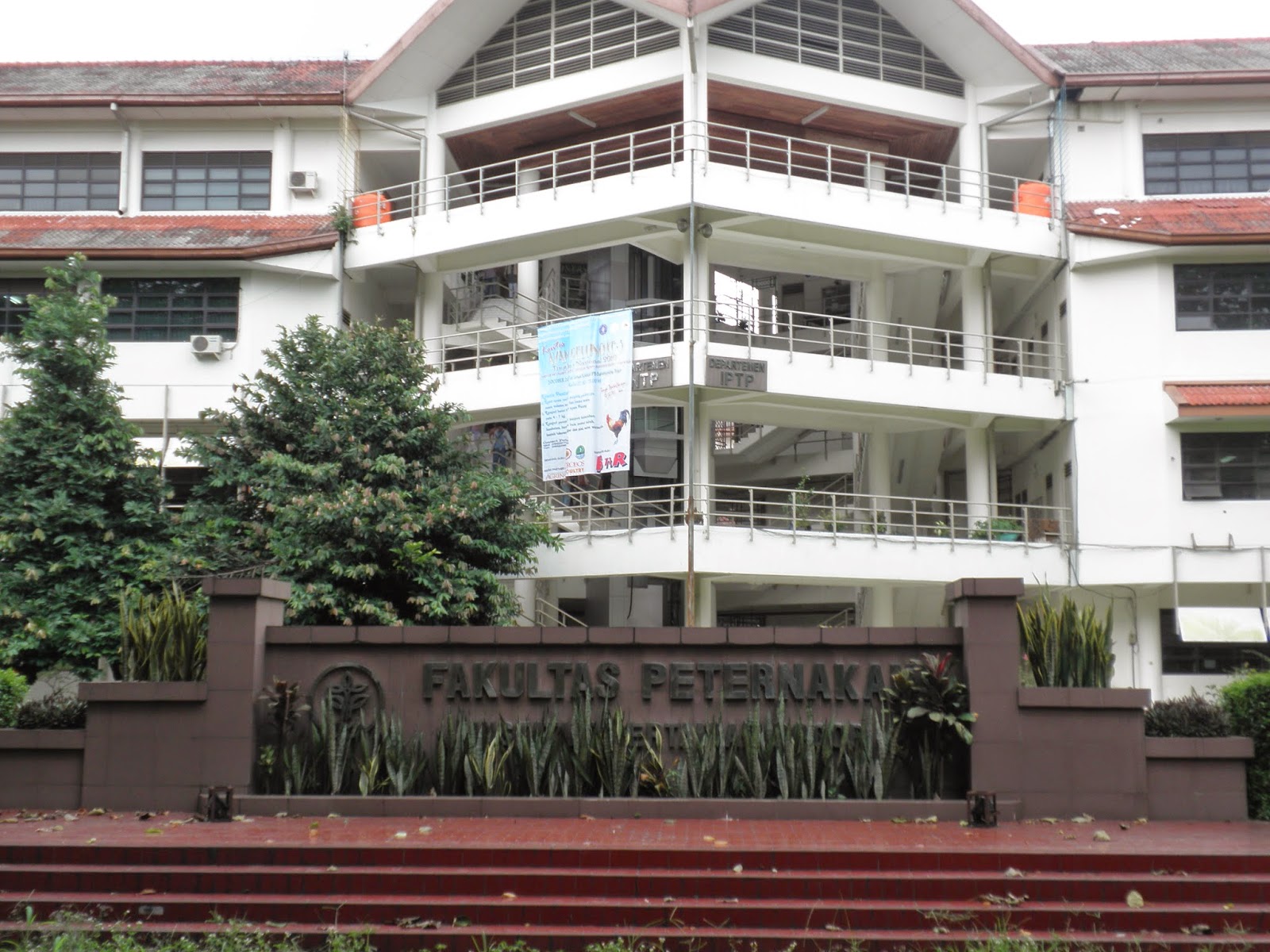 Peternakan IPB INTP 50: Ilmu Nutrisi dan Teknologi Pakan Fakultas ...