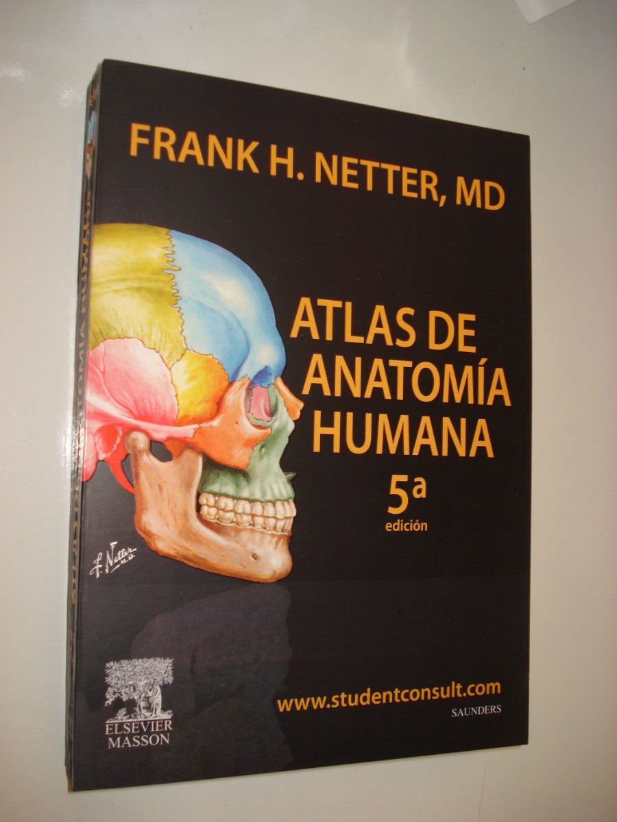 Frank Netter Atlas at Ina Peterson blog