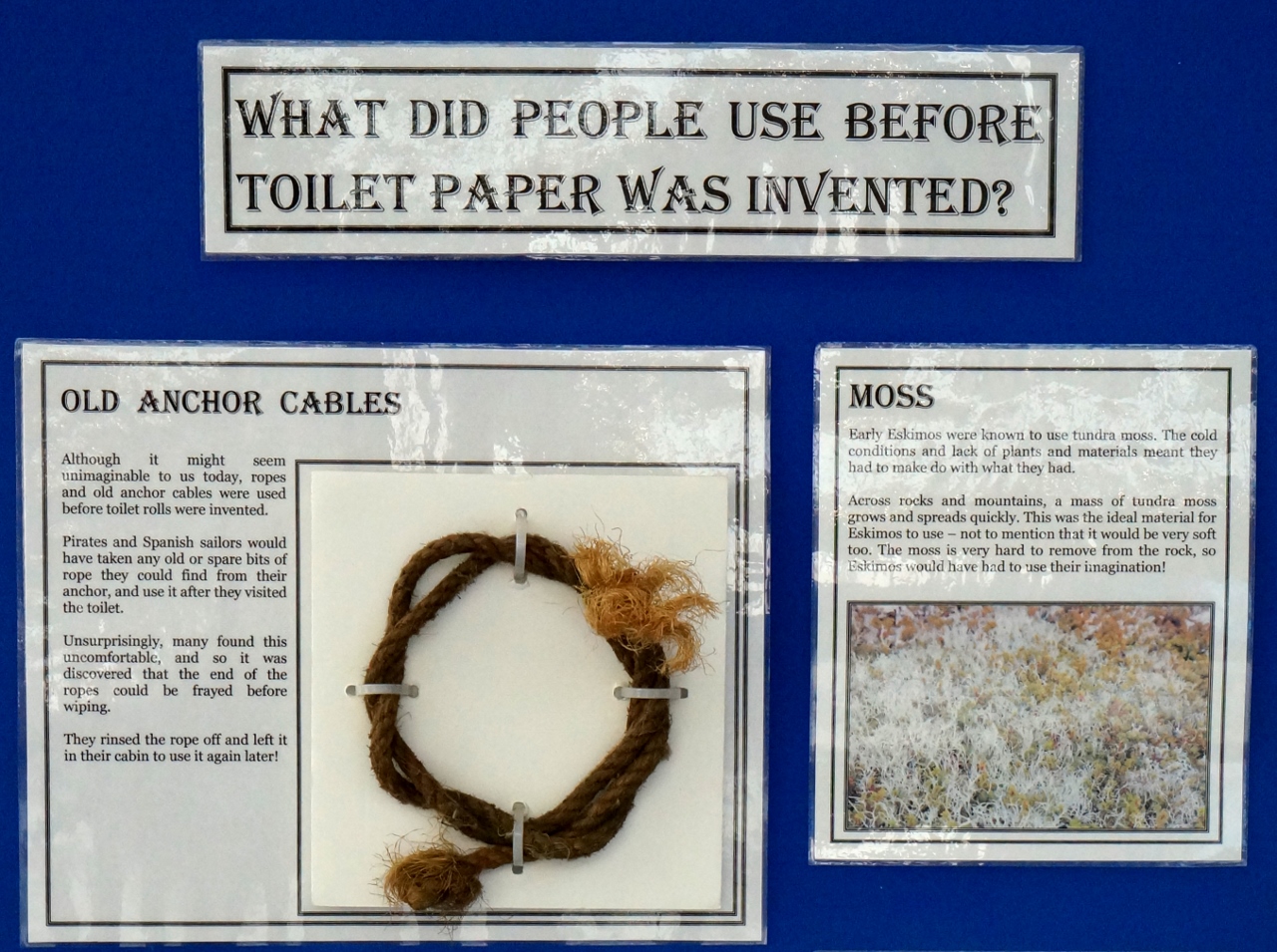 Captain JP s Log What Did Sailors Use Before Toilet Paper Was Invented captain-jp-s-log-what-did-sailors-use-before-toilet-paper-was-invented