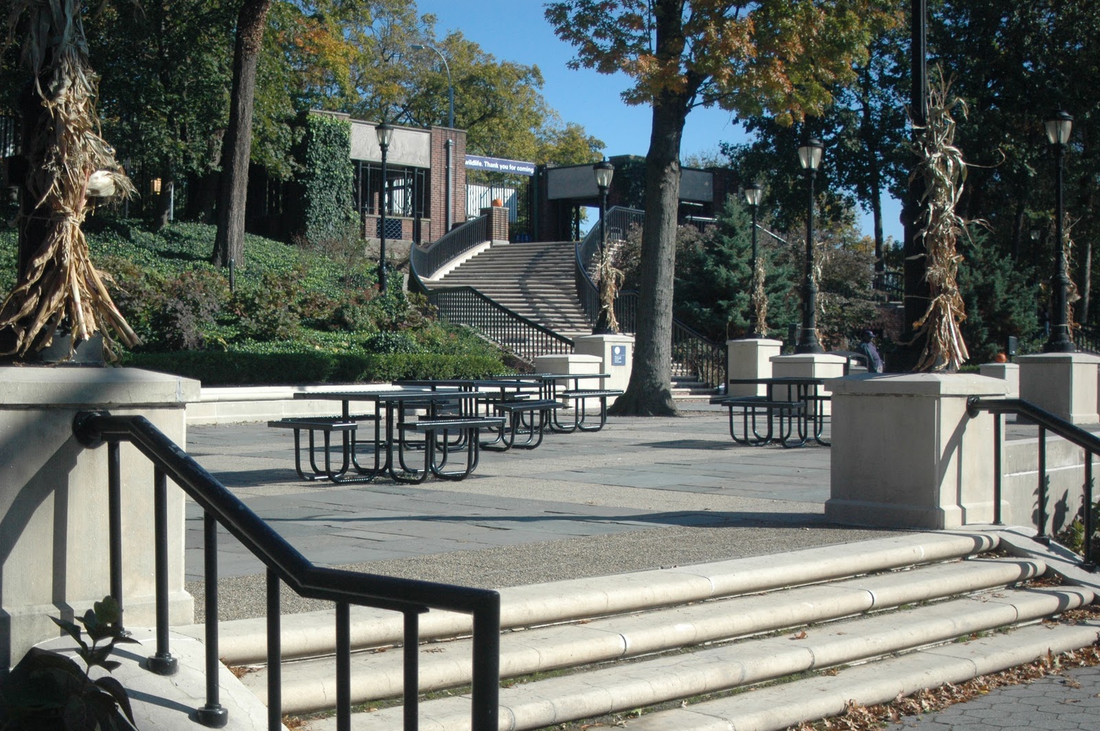 The Power Brokers: The Evolution of The Prospect Park Zoo