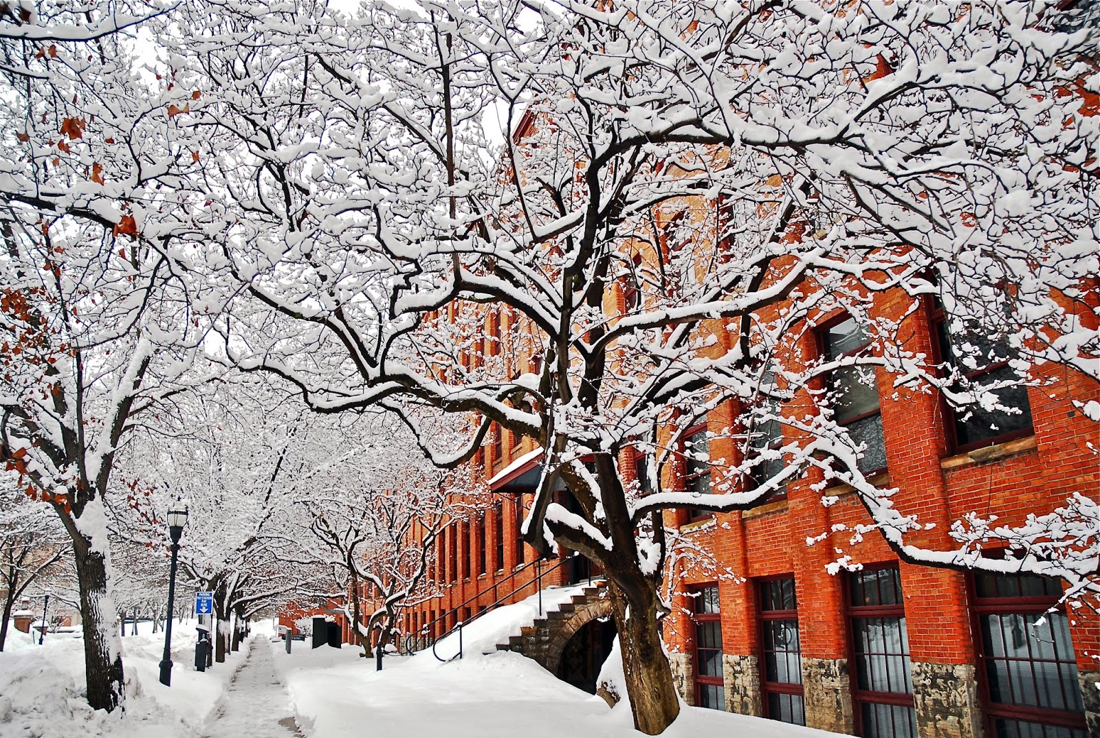 Maria Rizzo Art Blog: Fine Artist, Maria Rizzo, receives the 2014 ...