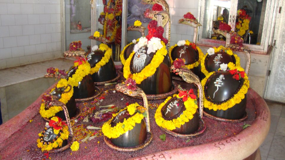 ROHAN JHA (DEVIL IS HERE): Ekadasha Rudra