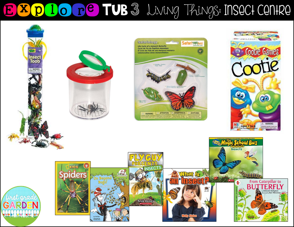 First Grade Garden: Explore Tubs for Living Things {with freebies}