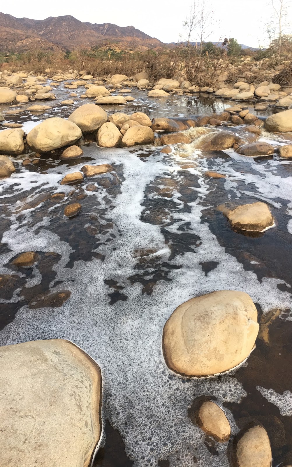 Ventura River Ecosystem: Matilija Dam - water quality