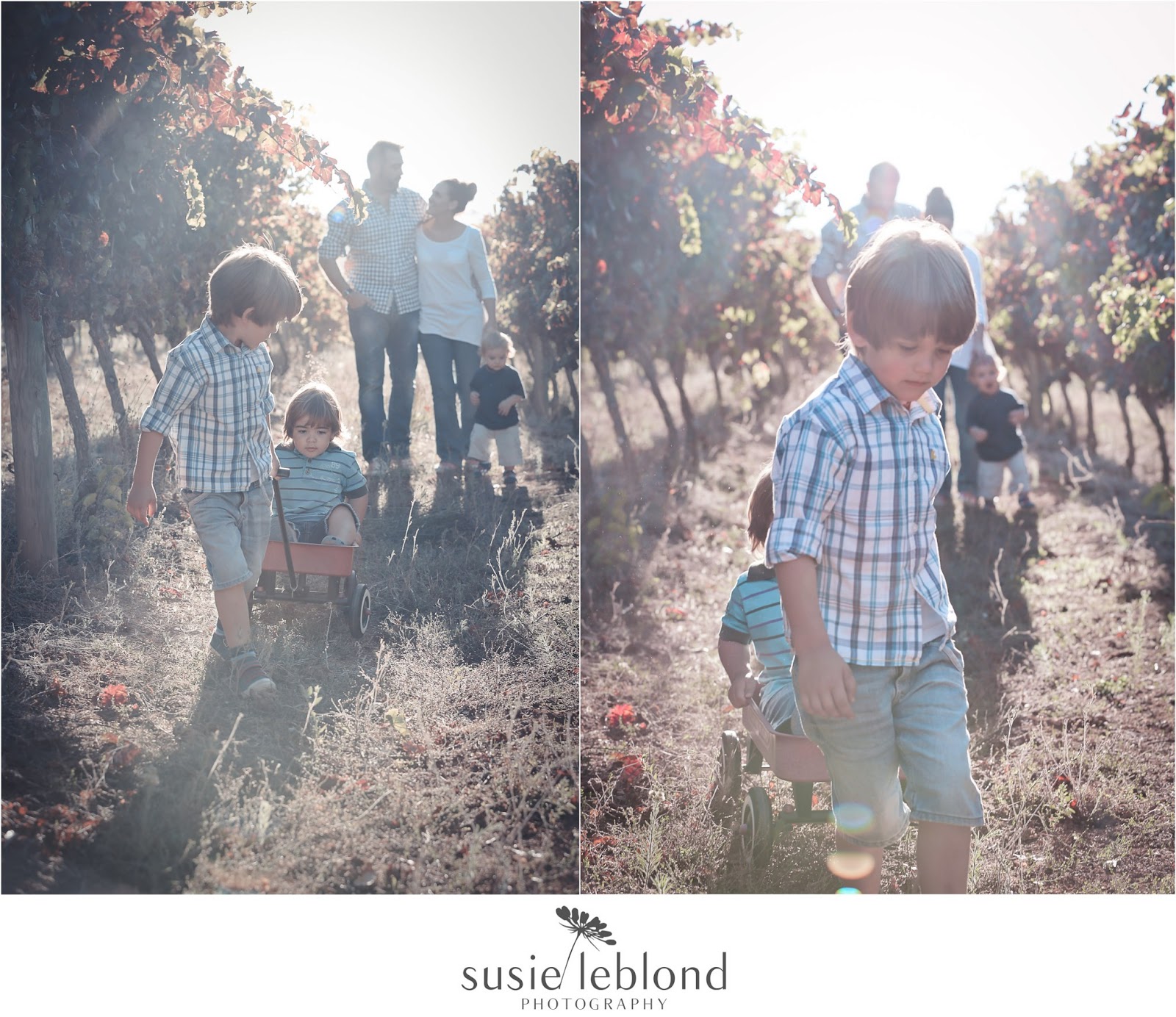 susie leblond photography: Hardiman Family