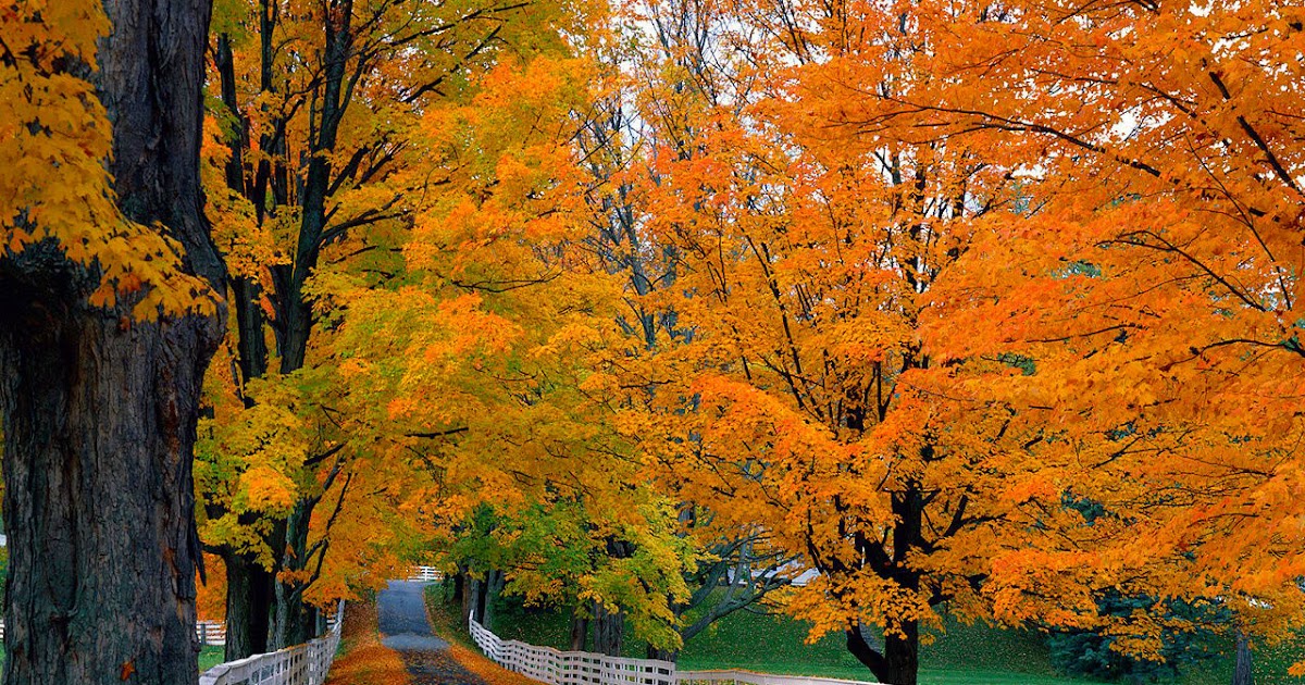 Made In The South: Who Are We Kidding ?...Fall In South Louisiana