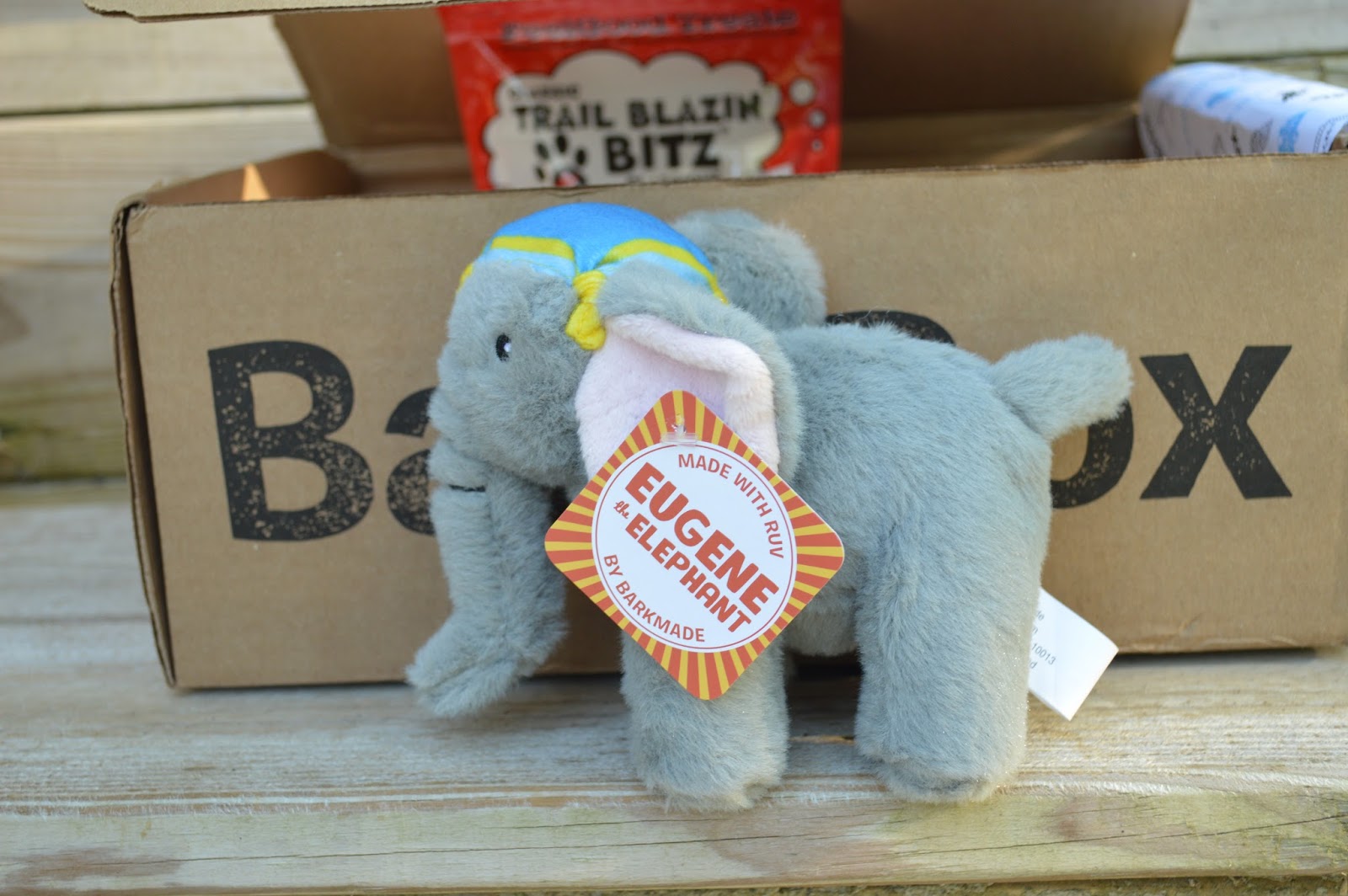 My Rotten Dogs: July 2015 BarkBox Review