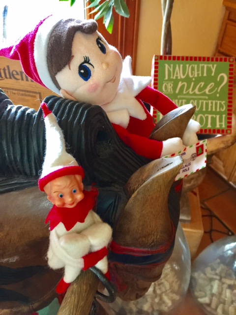 Pine Creek Style: This is NOT our Elves first Rodeo at the River Ranch....