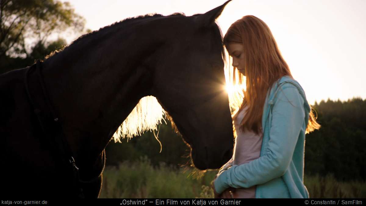 [ Rezension ] Pferde verstehen mit Ostwind