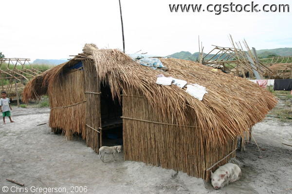 The Living Modern Aeta