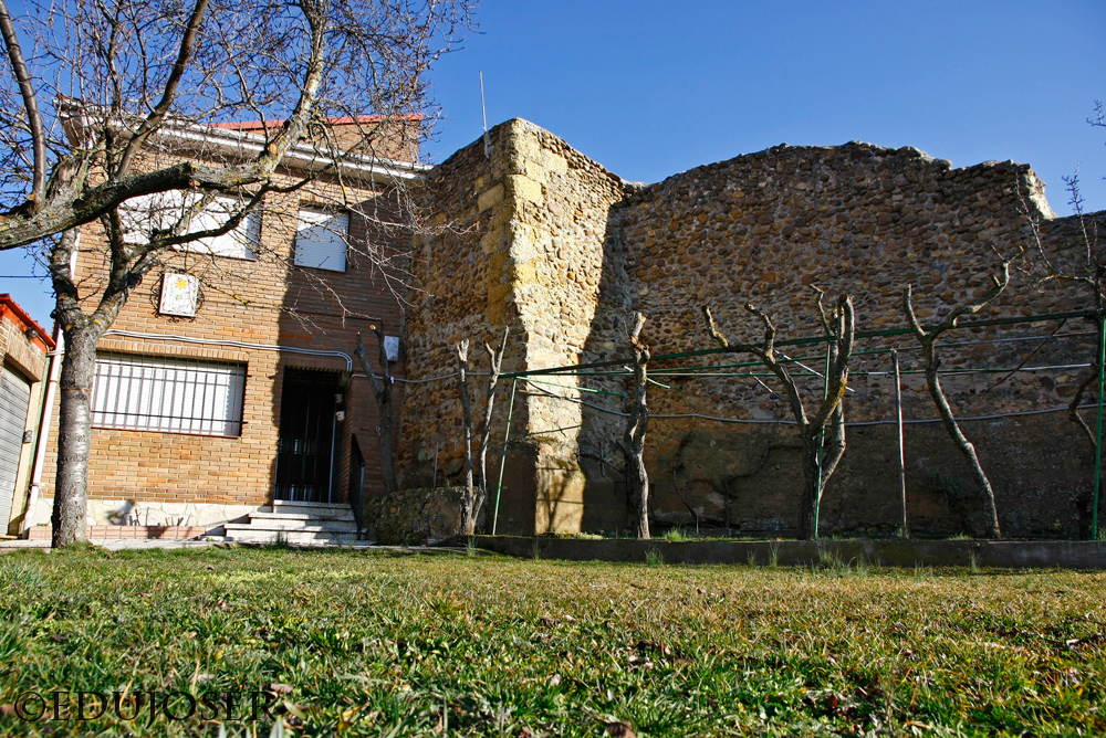 EDUJOSER: MURALLA URBANA DE ALMANZA (León)
