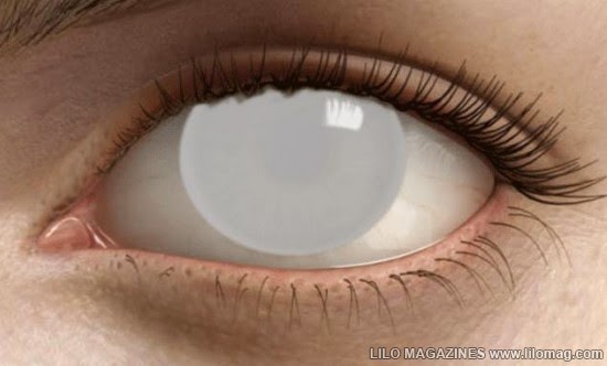 McMurray Musings: Crystal Clear Blindness