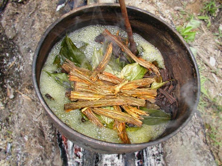 Drogas con-ciencia: El brebaje de la Ayahuasca