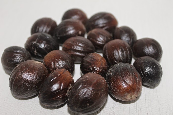 KOMODITI BIJI PALA, FULI & CENGKEH (NUTMEG, MACE & CLOVE) From North ...