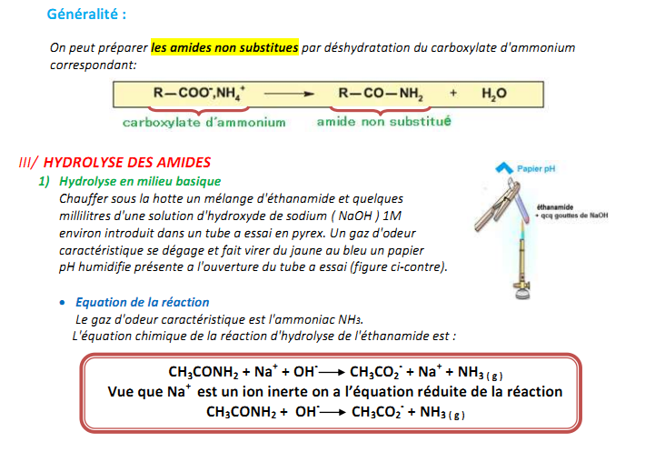 Cours les amides ( BAC SCIENCE ) - مدونة تعلم