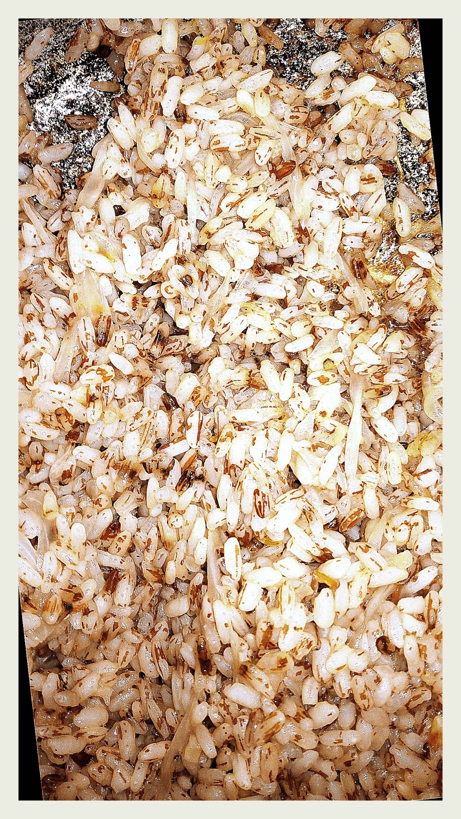 Adopter le Riz complet, le riz brun