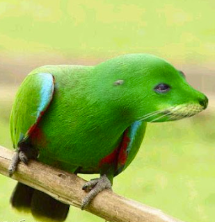 DeStefano Digital Mixed Media : 3 photos of combined animals