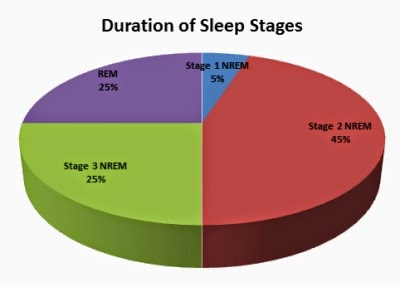 FOODANDLIFE's fitnessandnutrition: Sleep Stages and Cycles