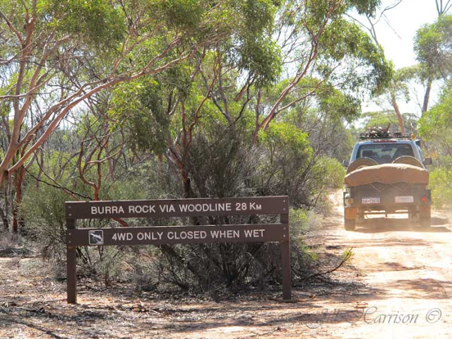 Life Images by Jill: Cave Hill, Burra Rock and the Woodlines, Western ...